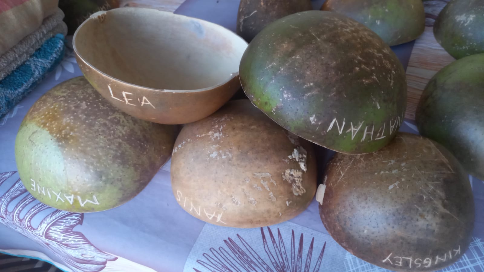 Cité éducative : LATILYÉ KALBAS | Région académique Guadeloupe